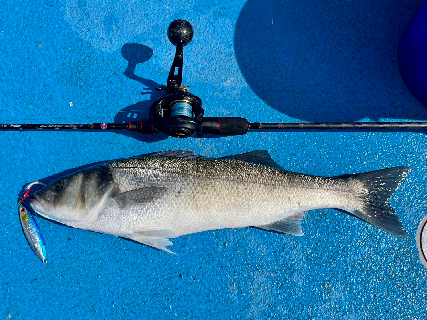 Fish Nugz Bass Fishing Jig Package - Start Catching Bass On Jigs ...