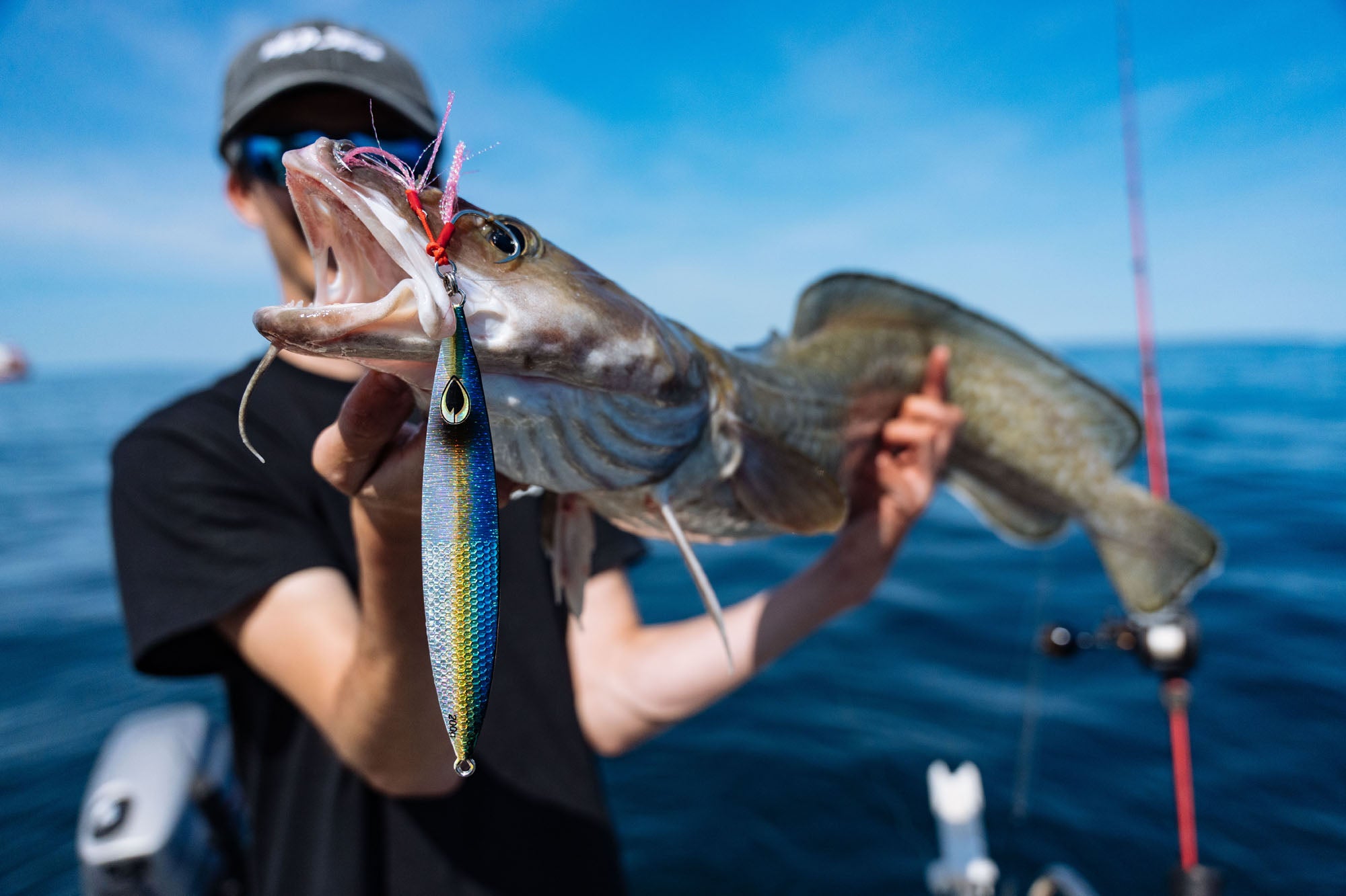 Wild Seas Fishing - Jig & Lure Specialists - Online Tackle Shop